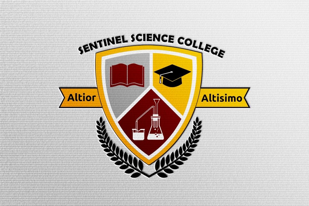 Sentinel Science College Login Portal - Esmesi web system designed and ...